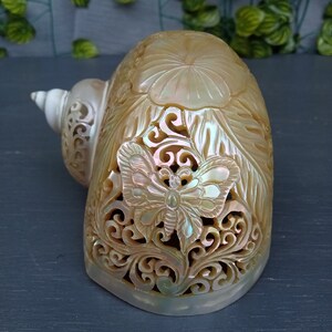 Carved Pearl Turbo Conch Shell Butterfly Carving ,real and Natural ...