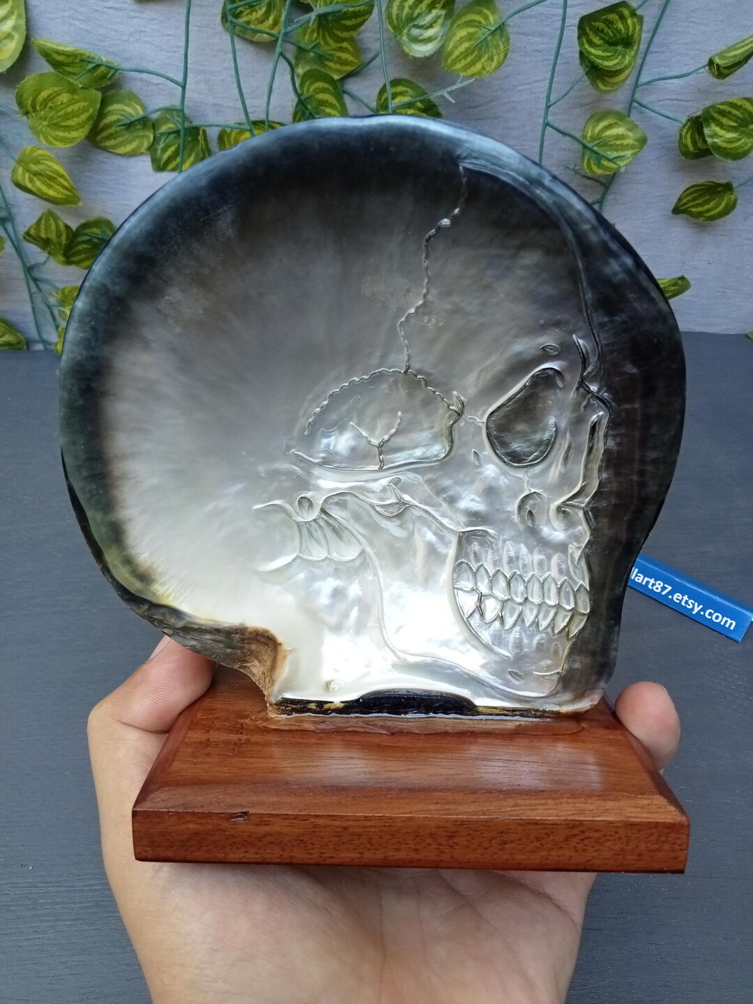 Carved Black Mother of Pearl Human Skull Design,real and Natural ...