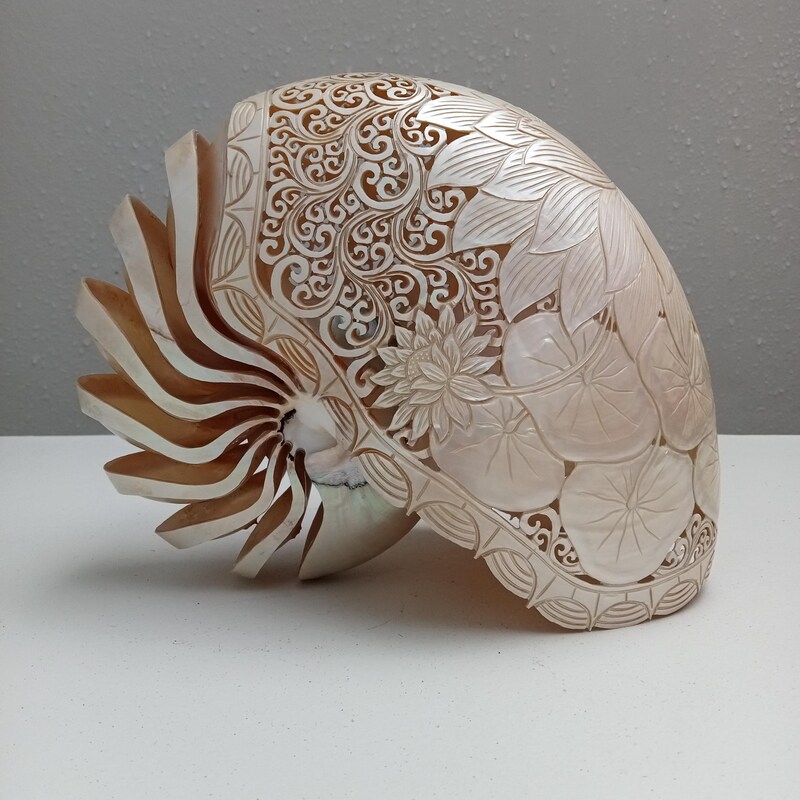 Shell Art - Etsy