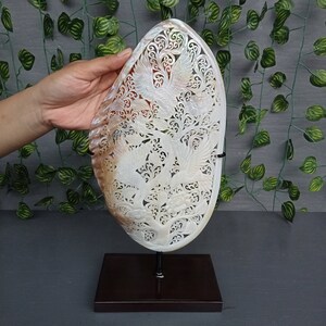 Hand Carved Pearl Mussels Shell Large Sizewith - Etsy