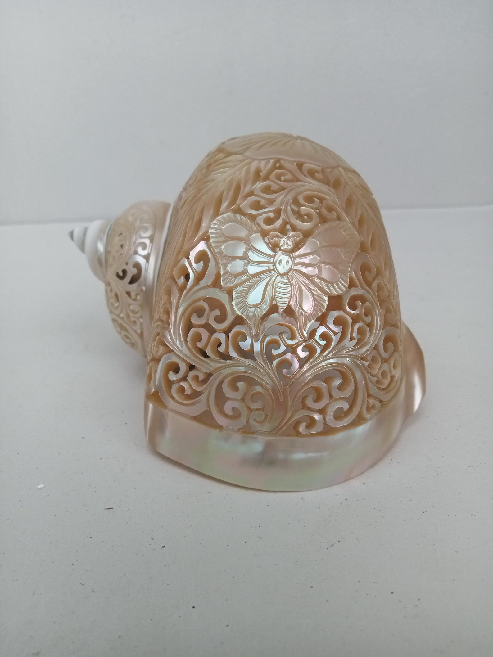 Carved Pearl Snail Shell Butterfly Design Natural Seashell Art - Etsy