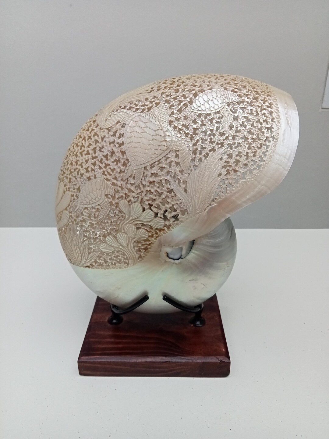 Big Nautilus Shell Carved Sea Turtle and Mermaid Design,real and ...