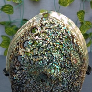 Carved Abalone Shell Sea Turtle Theme,real and Natural Abalone Shell ...