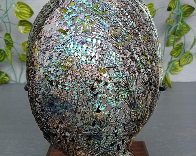 Carved Abalone Shell Sea Turtle Theme,real and Natural Abalone Shell ...
