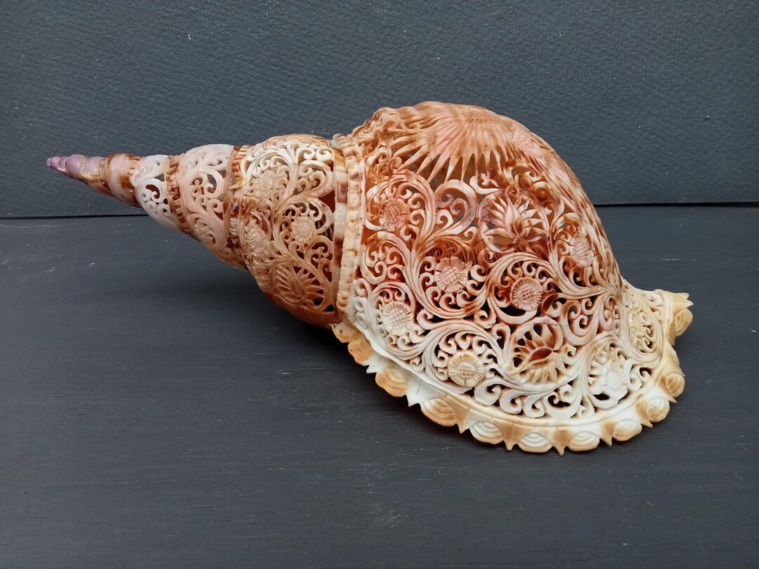 Hand Carved Trumpet Triton Shell Phoenix ,real and Natural Triton's ...