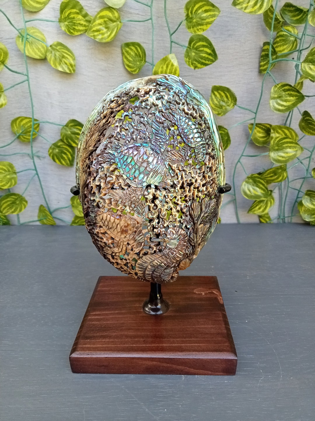 Carved Abalone Shell Sea Turtle Theme,real and Natural Abalone Shell ...