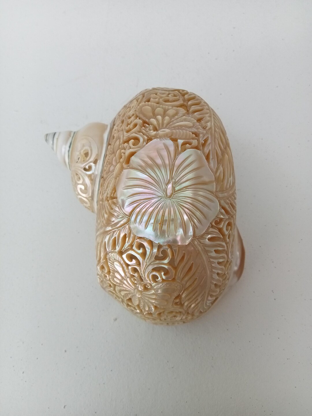 Carved Pearl Snail Shell Butterfly Design,natural Seashell Polished and ...
