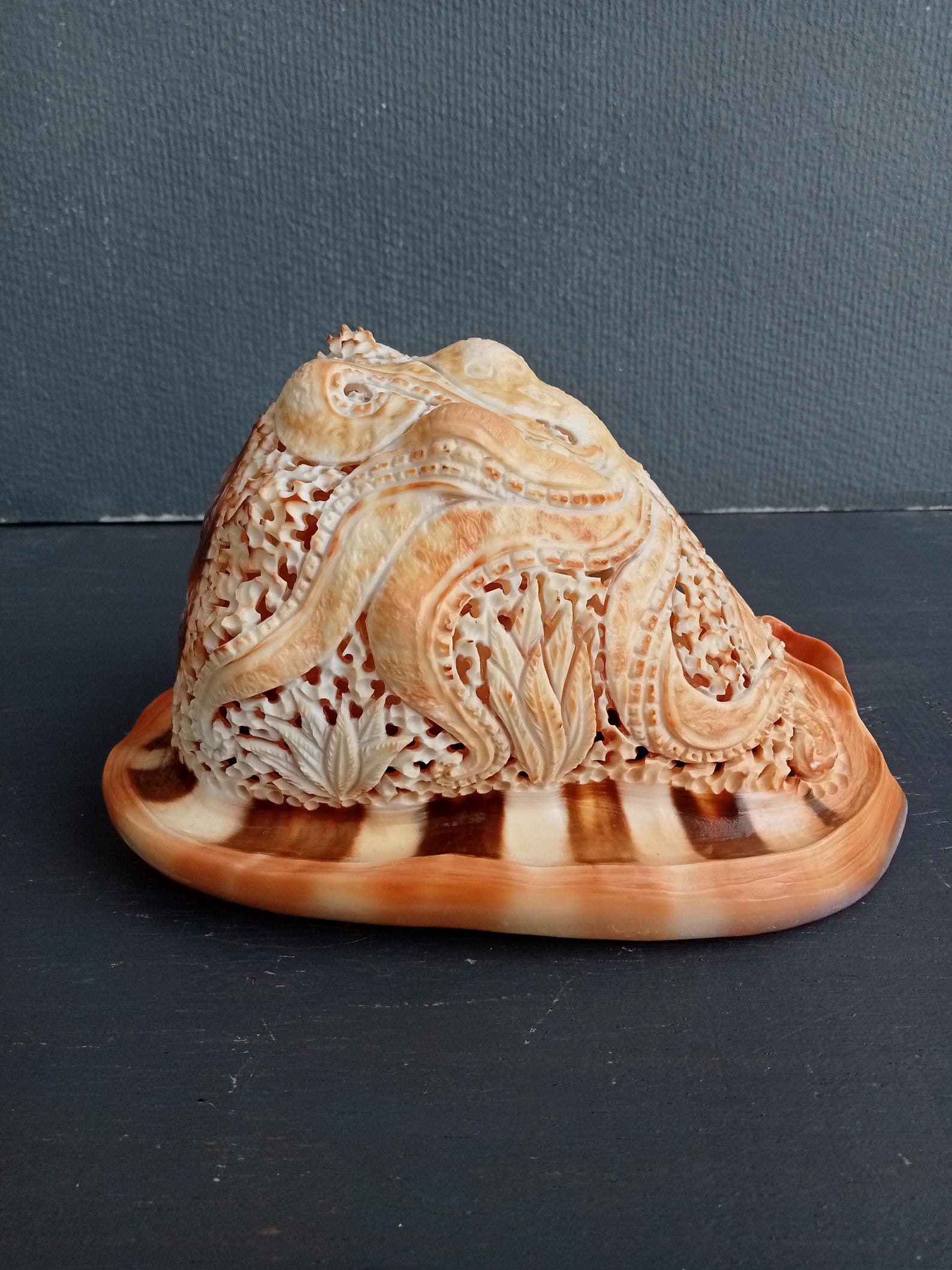 Hand Carved Red Helmet Shell Octopus Sea Horse Sculpture: Natural Sea ...