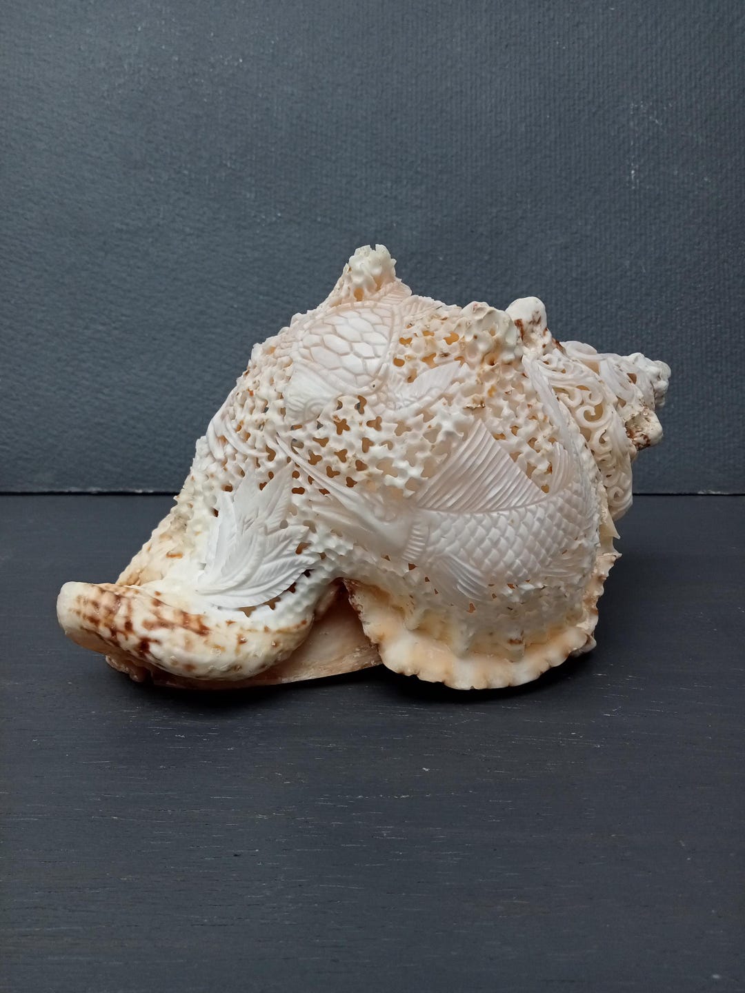 Large Conch Shell Carving,frog Shell,marlin Fish Design,real and ...