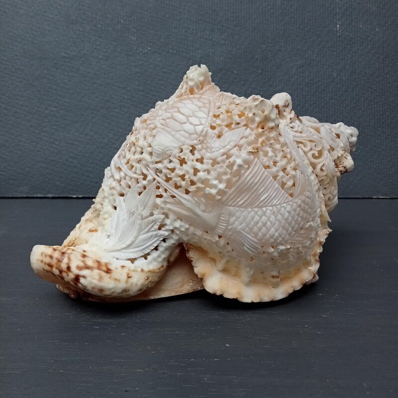 Conch Shell Art - Etsy