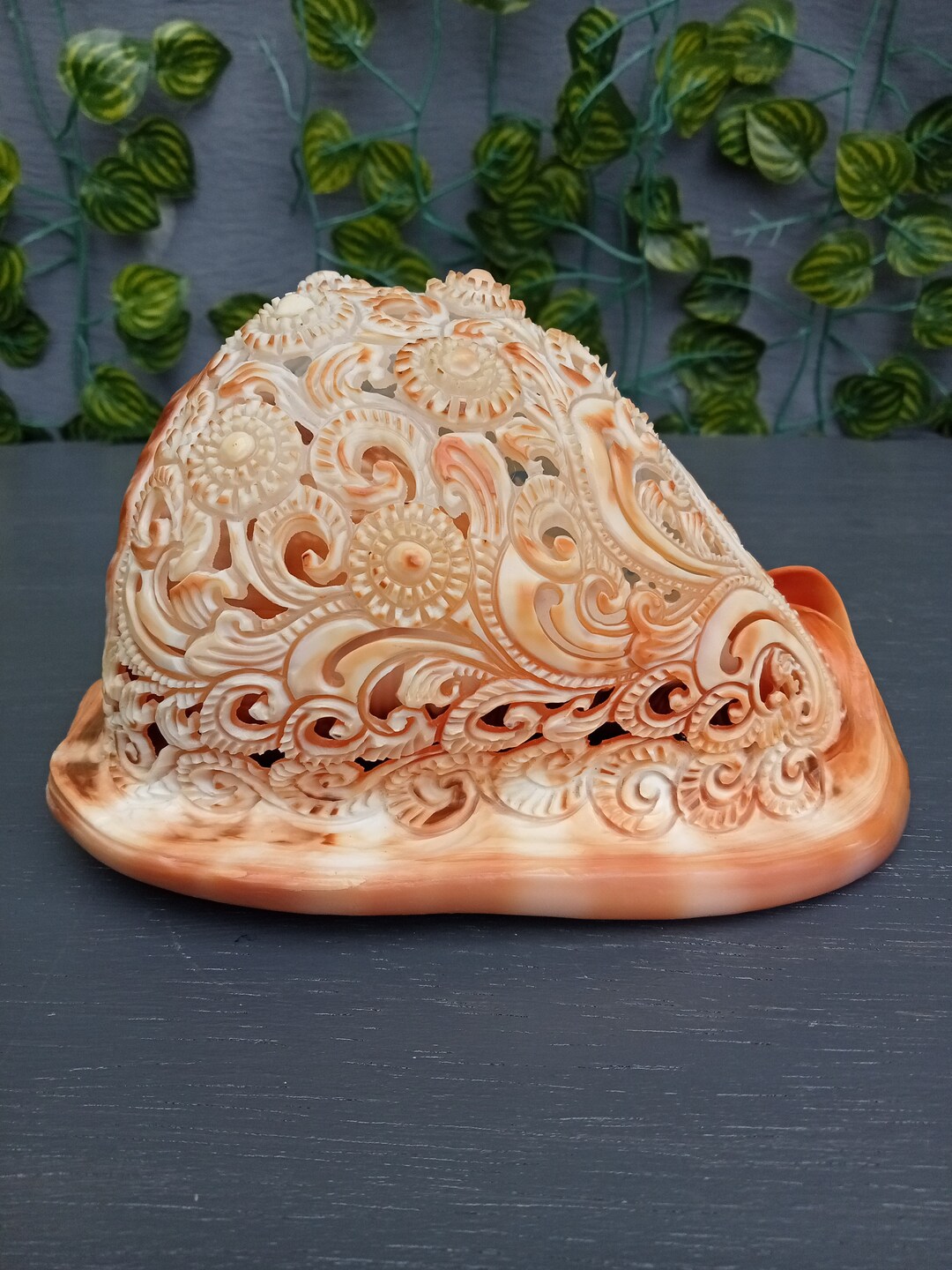 Hand Carved Conch Shell,red Helmet Shell Sculpture, Real and Natural ...