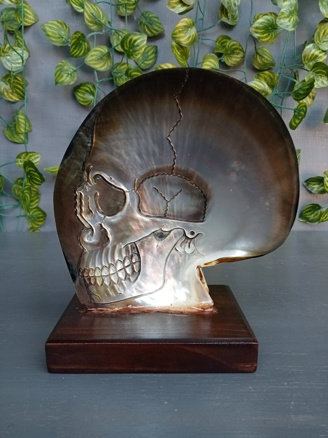 Mother of Pearl Human Skull Carving,real and Natural Black Pearl Shell ...