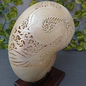 Carved Pearl Nautilus Shell Dragon Carving,real and Natural Nautilus ...