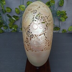 Carved Pearl Nautilus Shell Human Skeleton Sculpture,xl Size,real and ...