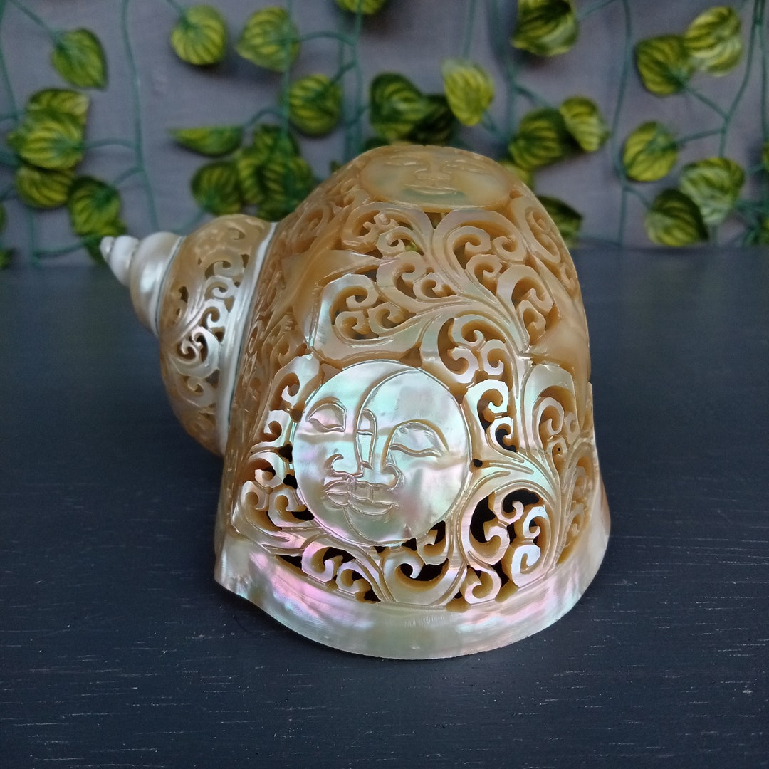 Carved Pearl Turbo Conch Shell Night Themereal and Natural - Etsy