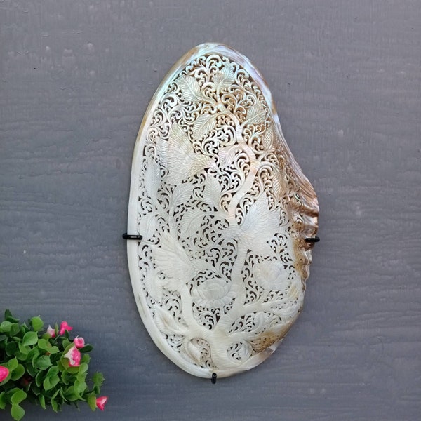 Shell Wall Decor - Etsy