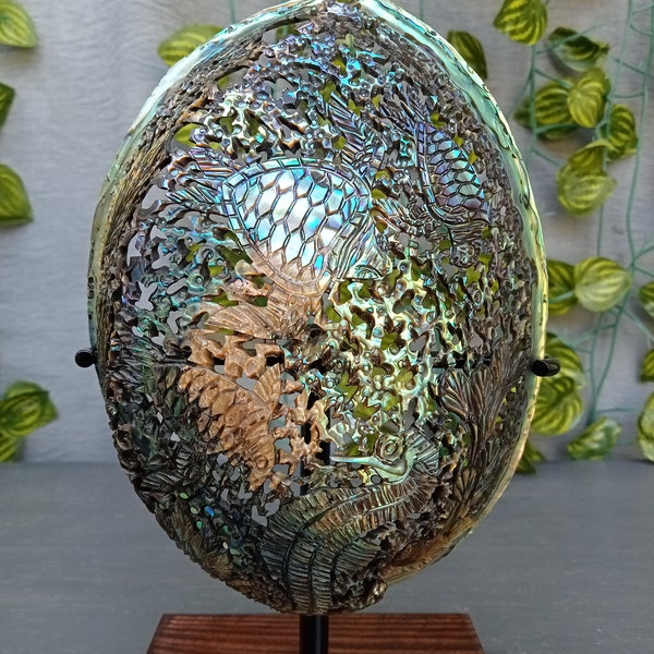 Sea Shell Art - Etsy