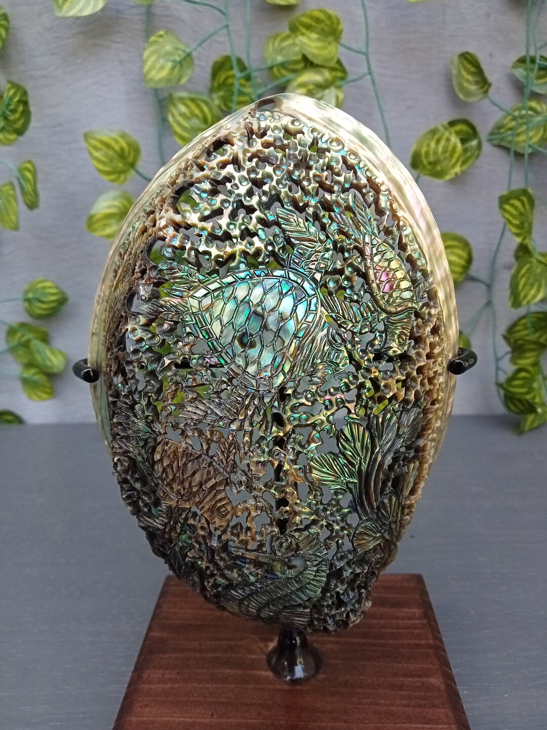 Carved Abalone Shell Sea Turtle Theme,real and Natural Abalone Shell ...