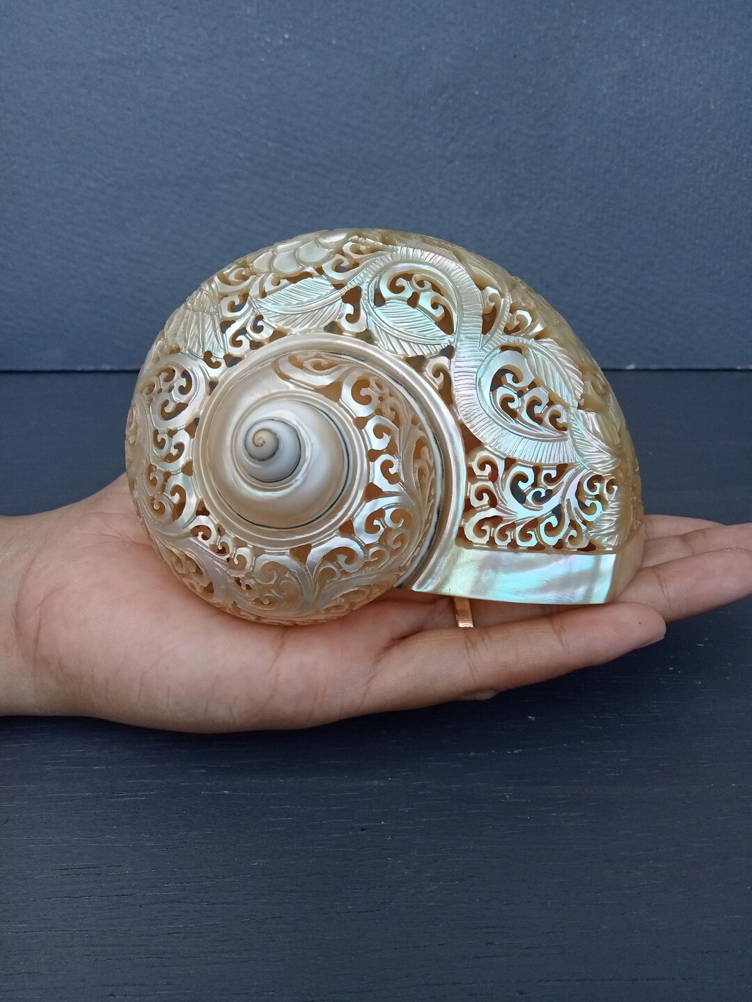 Carved Pearl Turbo Shell Hummingbird Theme,natural Sea Shell Polished ...