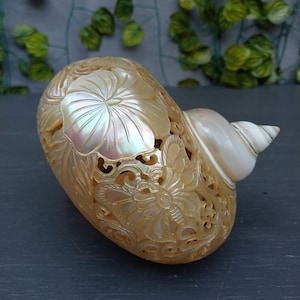 Carved Pearl Turbo Conch Shell Butterfly Carving ,real and Natural ...