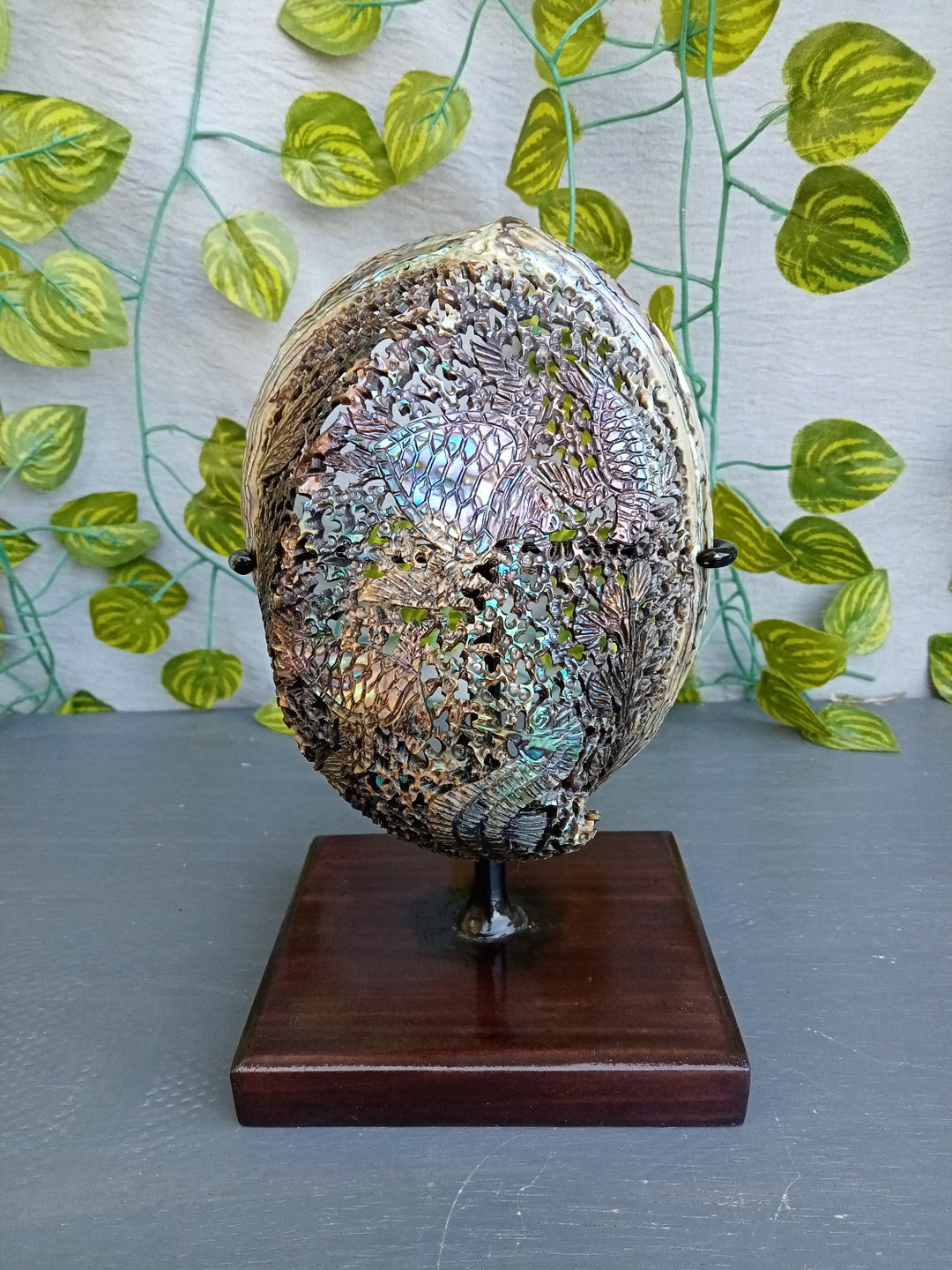 Carved Abalone Shell Sea Turtle Theme,real and Natural Abalone Shell ...