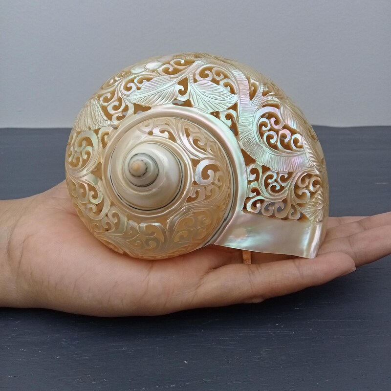 Shell Art - Etsy