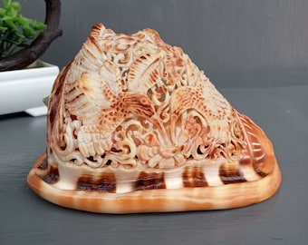 Carved Conch Shell - Etsy