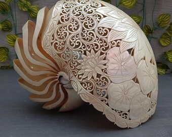 Carved Pearl Nautilus Shell Dragon Carving,real and Natural Nautilus ...
