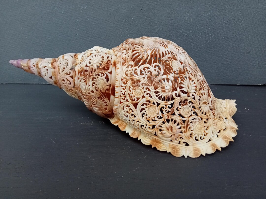Hand Carved Trumpet Triton Shell Phoenix Design,real and Natural Sea ...