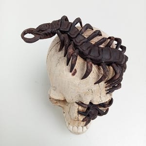 Carved Skull,wooden Human Skull With Centipede,skull Replica,skull Art ...