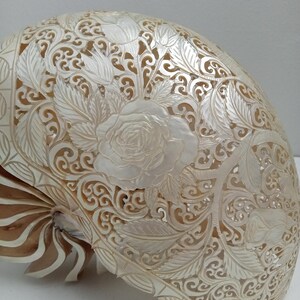 Hand Carved Nautilus Shell Rose Carving,real and Natural Seashell ...