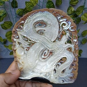 Mother of Pearl,carved Sea Shell Dragon Sculpture,real and Natural ...