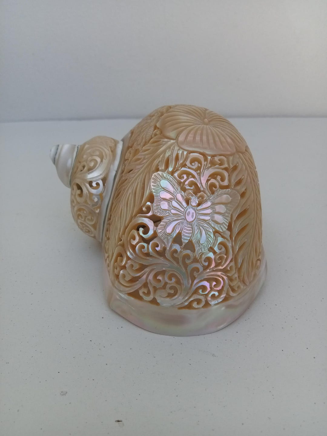 Carved Pearl Snail Shell Butterfly Design,natural Seashell Polished and ...