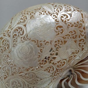 Hand Carved Nautilus Shell Rose Carving,real and Natural Seashell ...
