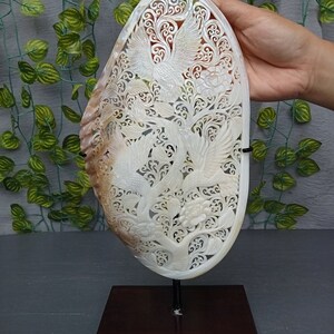 Hand Carved Pearl Mussel Clam Shell XL Size,hummingbird Theme,real and ...