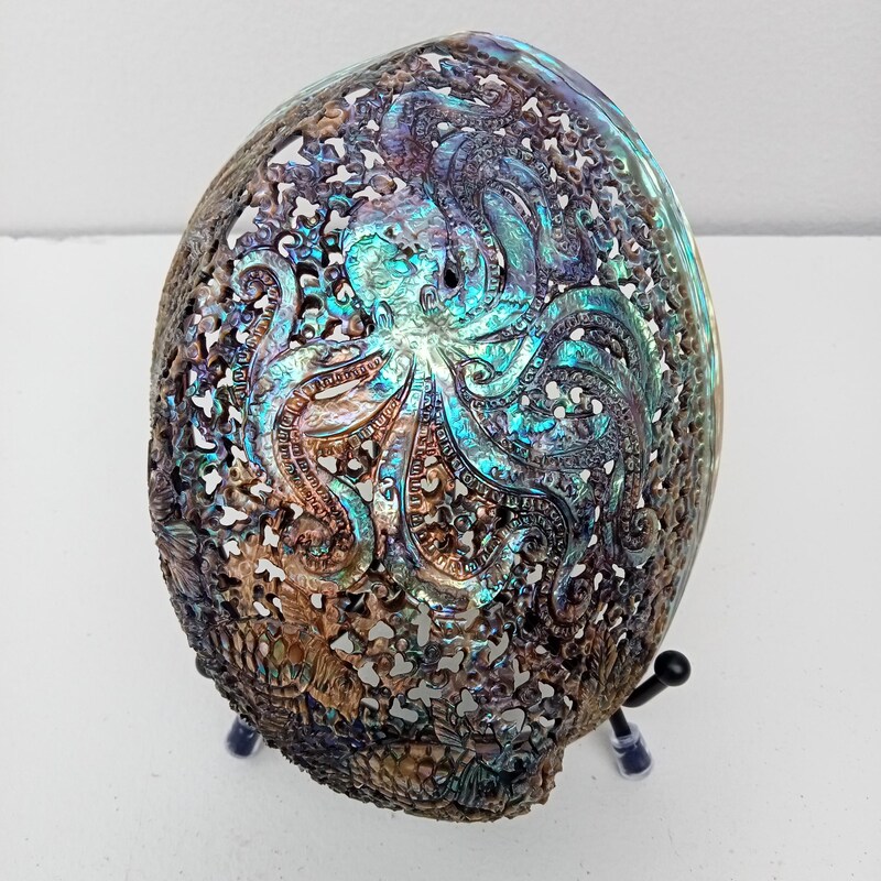 Abalone - Etsy