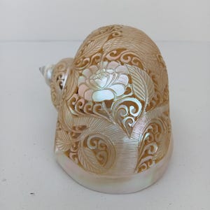 Carved Snail Shell,hummingbird Theme,natural Sea Shell,polished and ...