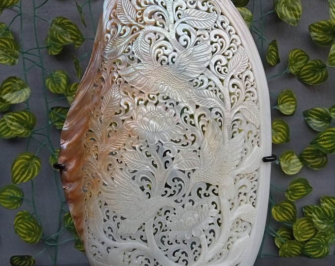 Hand Carved Pearl Mussels Clam Shell Extra Large Size With Stand ...