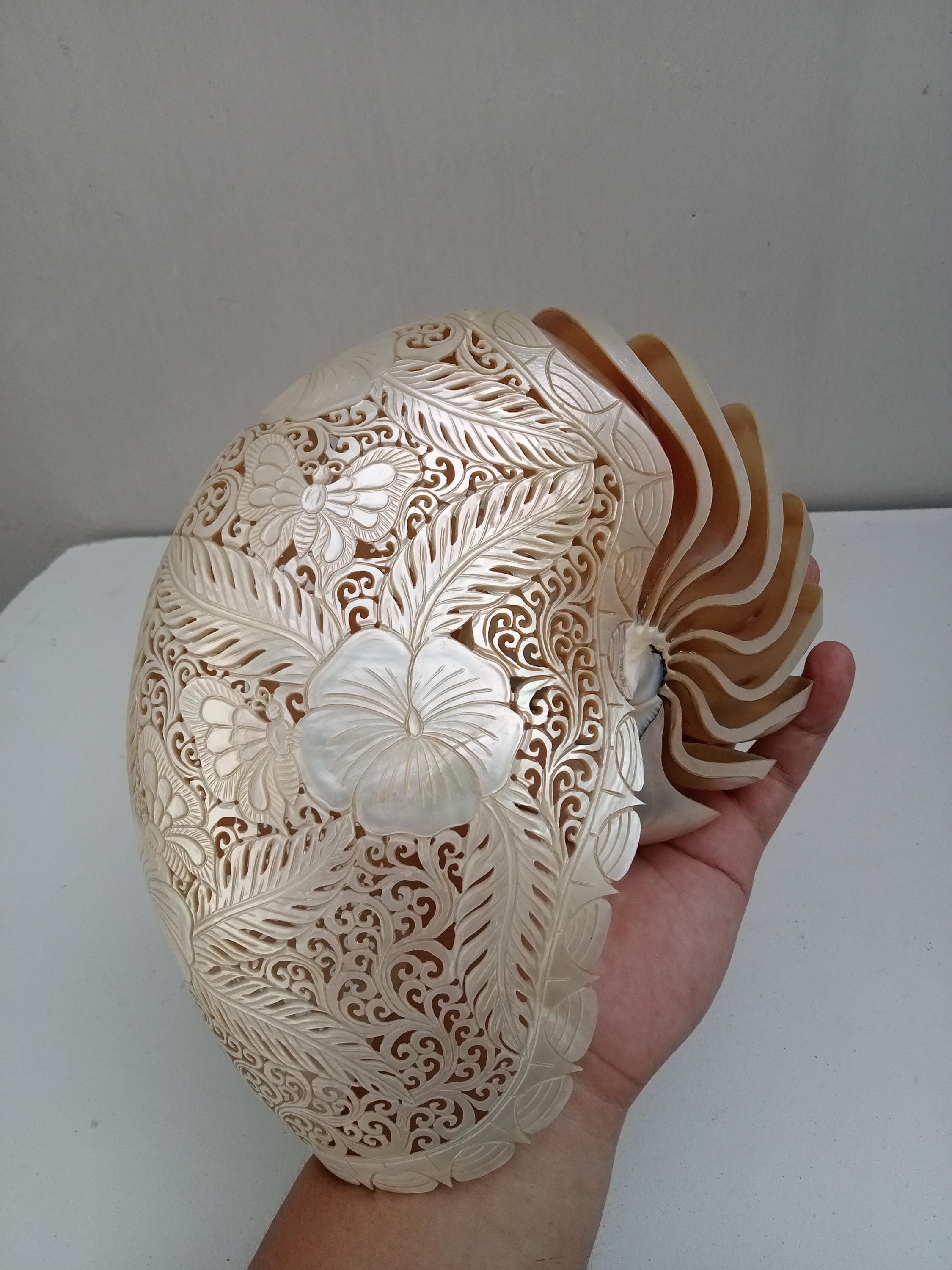 Carved Nautilus Shell Butterfly Natural Seashell Art - Etsy