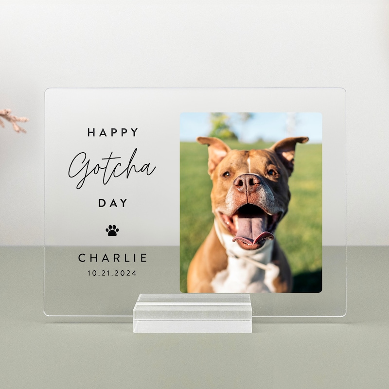 Happy Gotcha Day - Etsy