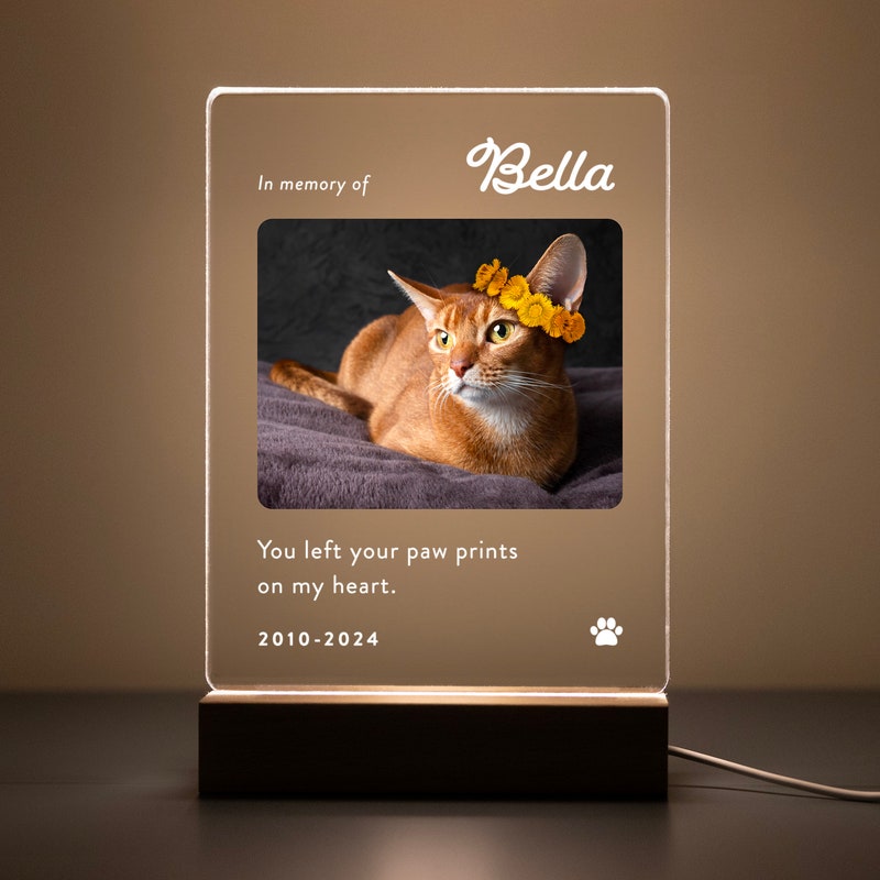 Led Cat Memorial Picture - Etsy