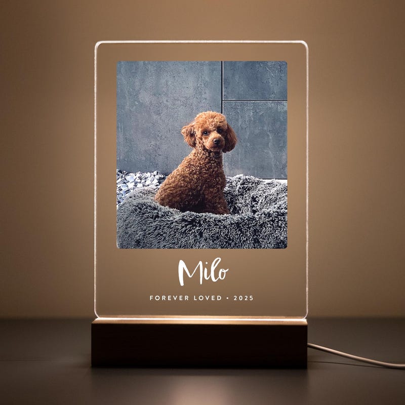 Dog Photo Frame Urn - Etsy