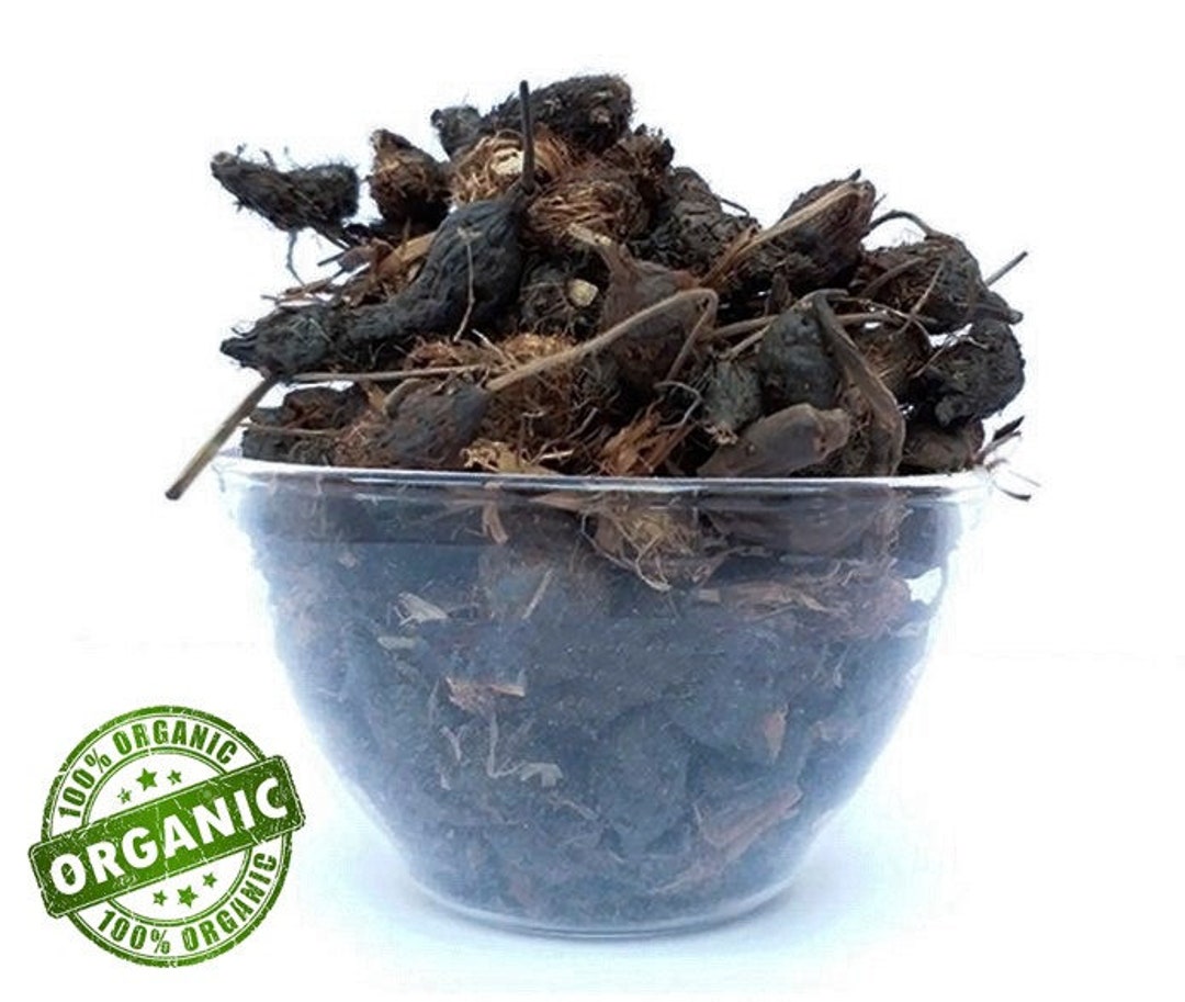 Sun Dried Whole Raw Nut Grass Tubers Dried Cyperus Rotandus Rhizomes Nnatural Skin And Body Care