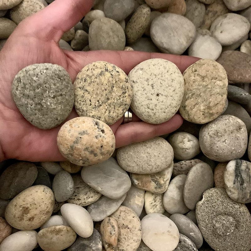 River Rock Pebbles - Etsy