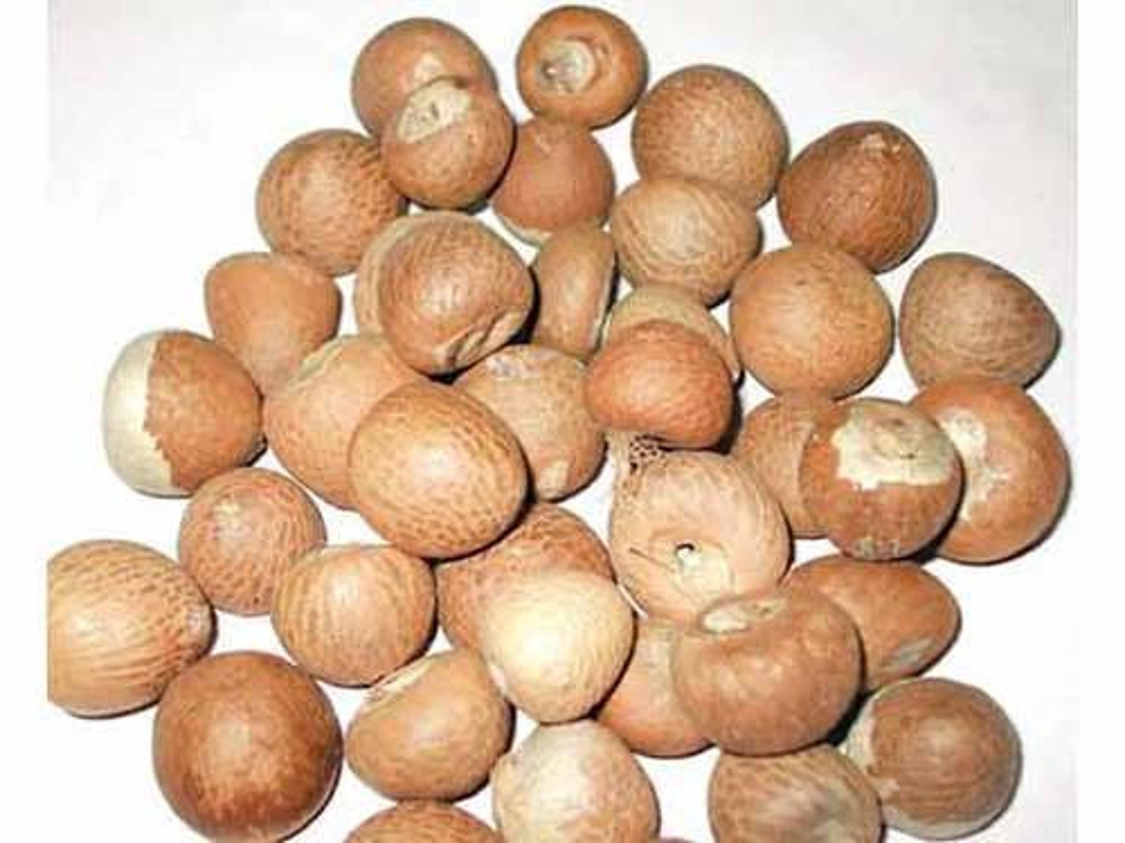 1kg Whole Supari Organic Herbal Grade A Quality Pure Fresh Natural ...