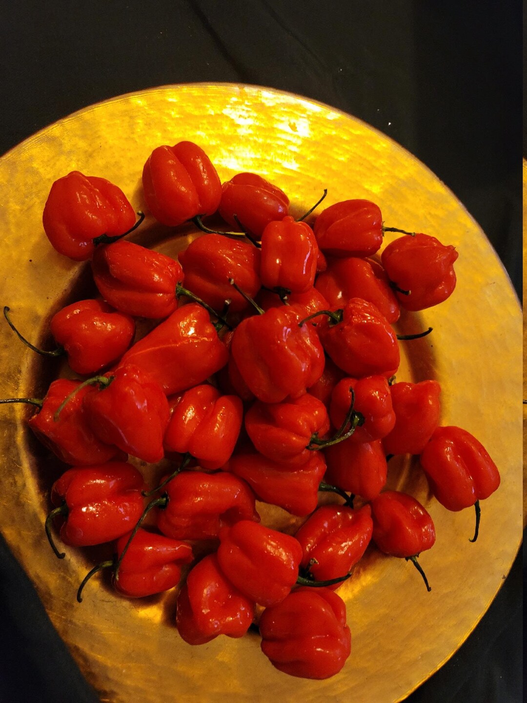 One Pound Red Habanero - Etsy