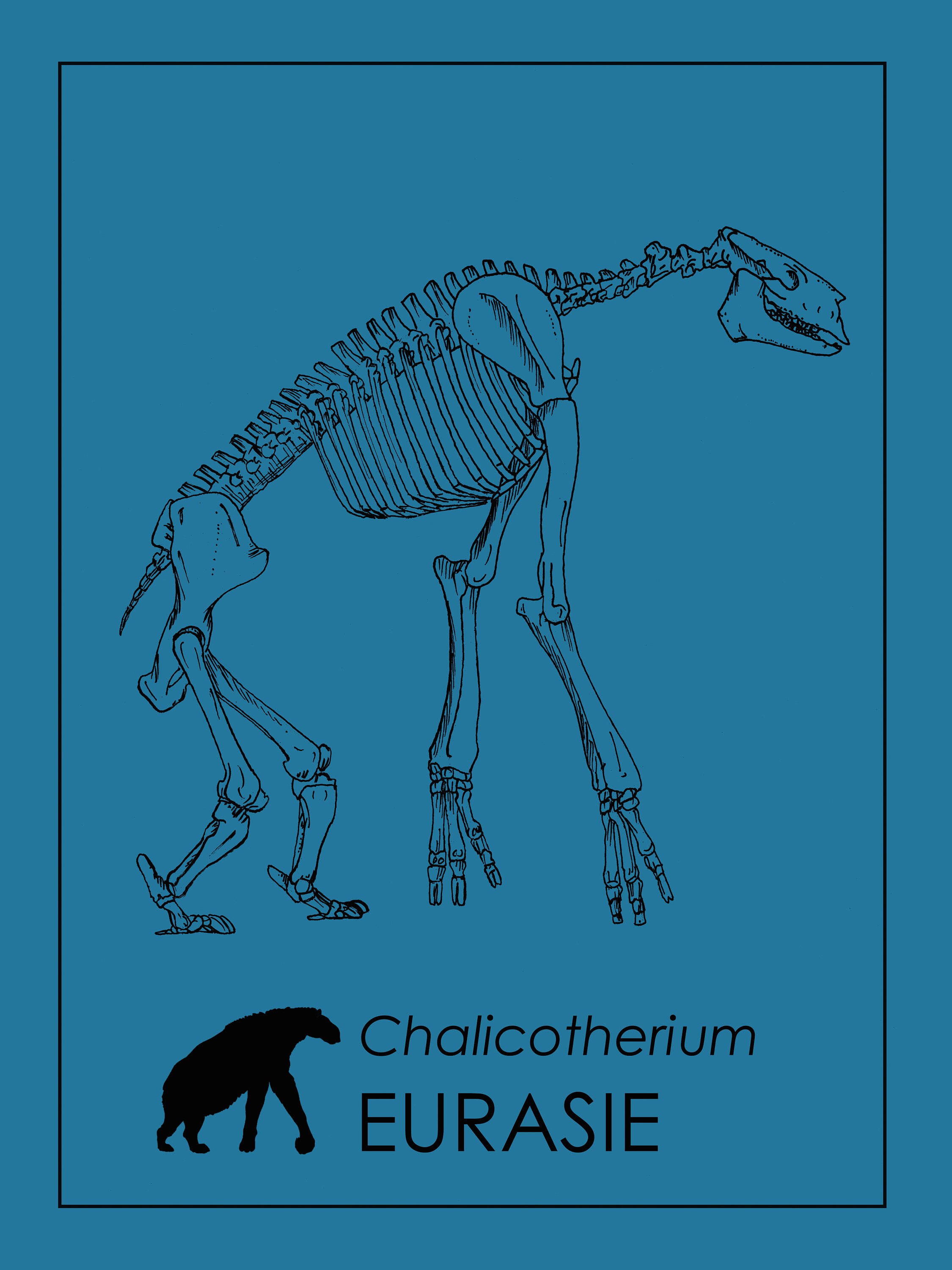 Chalicotherium Skeleton