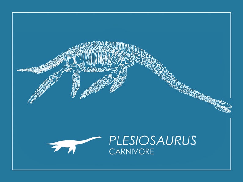 Art & Collectibles Poster Dinosaur Skeleton Plesiosaurus rotring ...