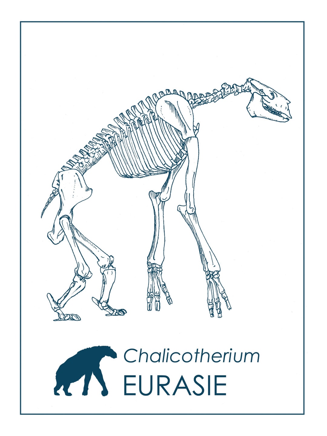 Chalicotherium Skeleton