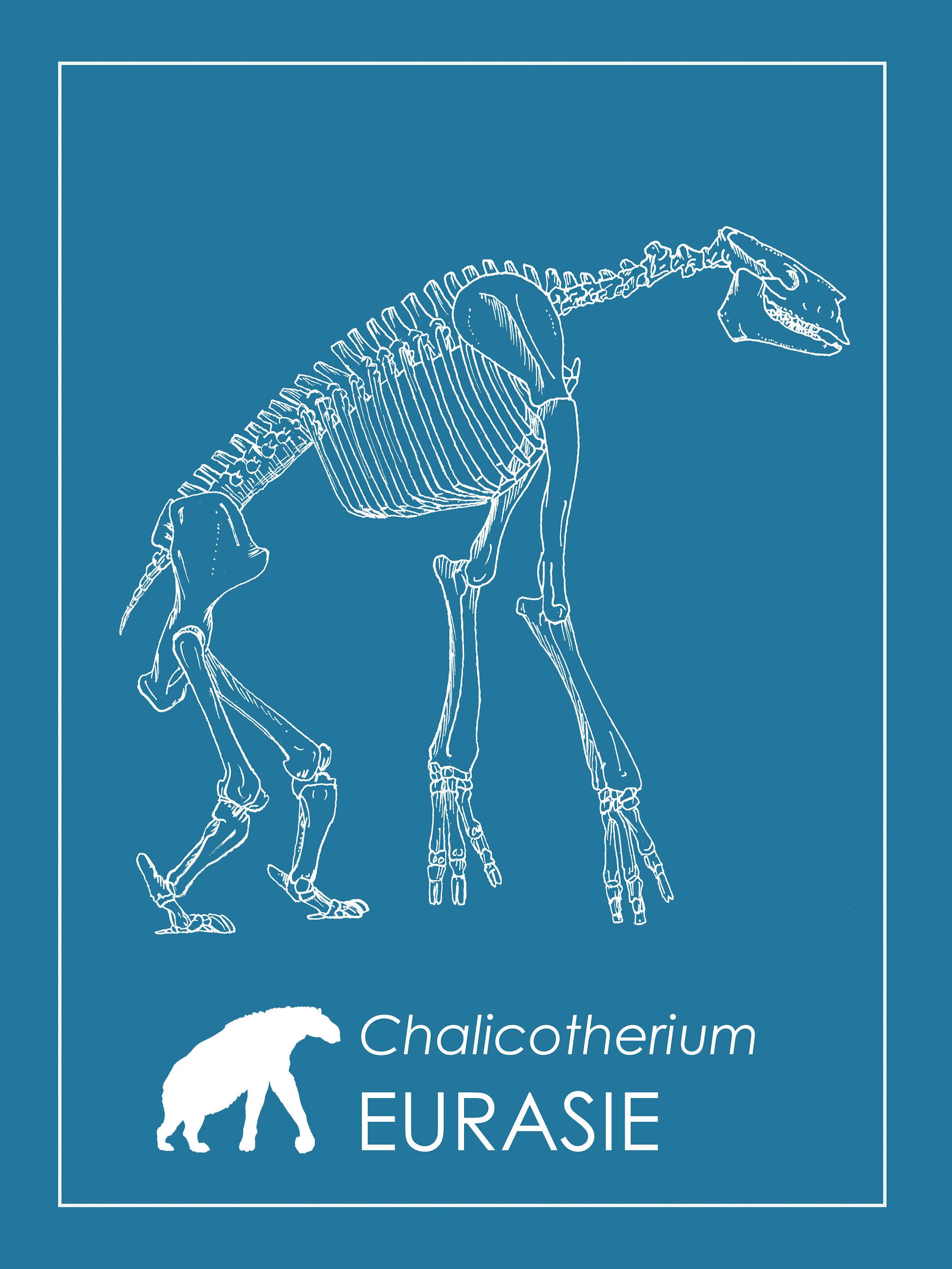 Chalicotherium Skeleton